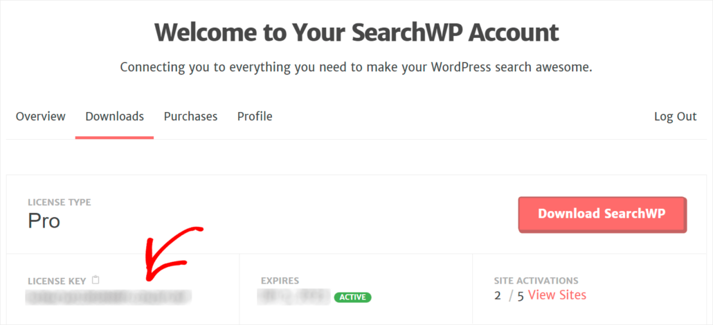 How to Create Custom Search in WordPress Without a Plugin